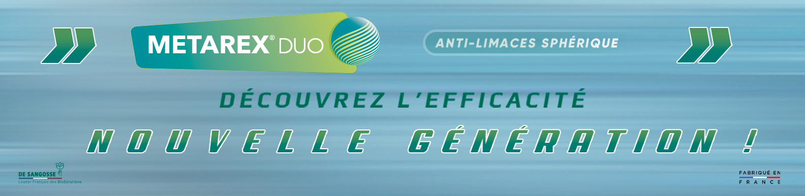 METAREX DUO®, l’appât sphérique à la balistique inédite - Ciblage anti ...